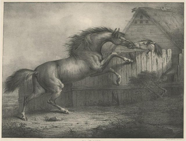 Henry Barnard Chalon, Horse Showing the Passion Love, 1827, Lithograph ...