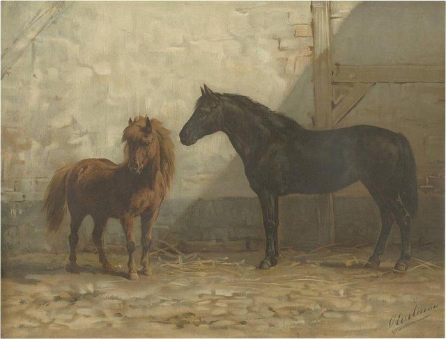 O. Eerelman, Ilustración de un pony francés e inglés, 1898 Imprimir en ...