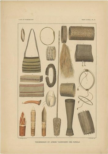 C.J. Temminck, Items of Papua New Guinea, 1840, Paper for sale at Pamono