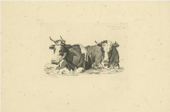 Anthony Oberman, Pastoral Scene with Two Resting Cows, 1810, Print for ...