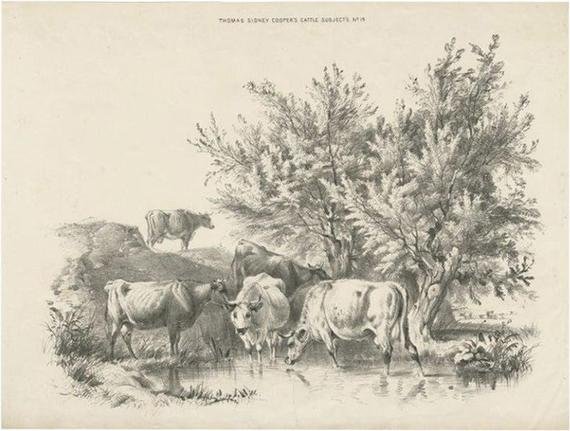 Thomas Sidney Cooper, Cattle, 1839, Print for sale at Pamono