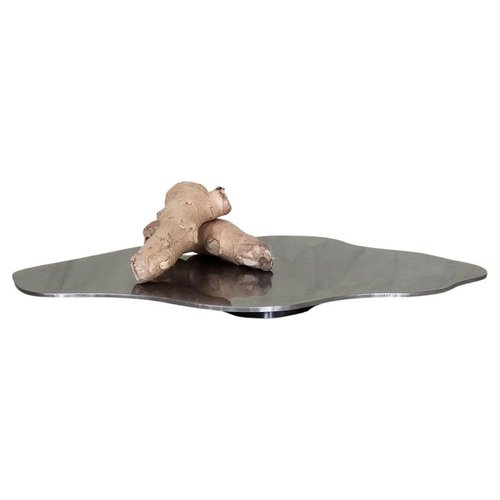 Tray in Sanded Stainless Steel by Esther De Vos for sale at Pamono