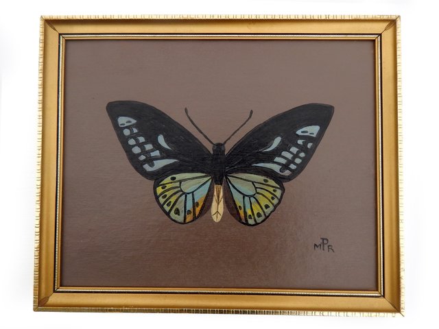 Matt Rix, Naive Style Butterfly Specimen in Blue and Green, 2000s, Oil ...