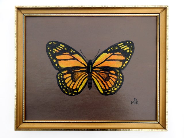 Matt Rix, Naive Style Butterfly Specimen in Orange and Yellow, 2000s ...