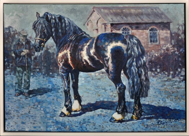 Elin Sian Blake, Fronarth Northern Star, Welsh Cob Native Horse Breed ...