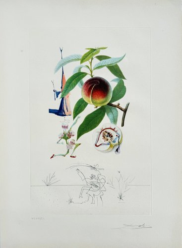 Salvador Dali, Penitent Peach Tree from Flordali Suite, 1969 ...