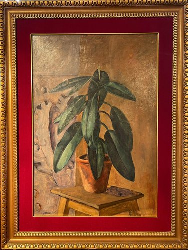 Giulio Benzi, Plant, Oil Painting on Cardboard, Framed for sale at Pamono