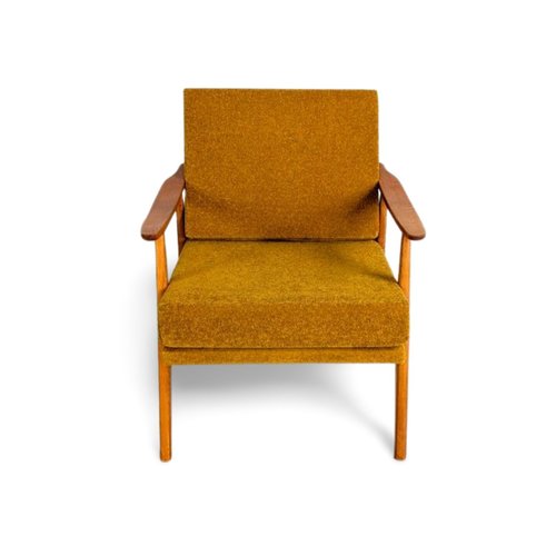 Mid-Century Modern Tuclé Easy Chair for sale at Pamono