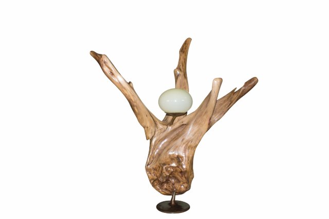 Bronze Root Lamp from Natural Design for sale at Pamono