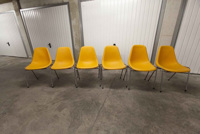 Vintage Orly Chairs by Bruno Pollak, 1970s, Set of 6 for sale at Pamono