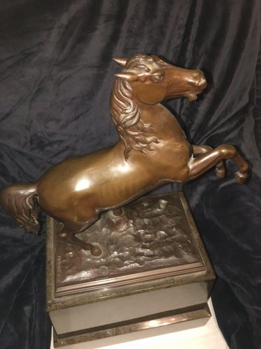 H. Henjes, Horse Stallion, 1910 for sale at Pamono