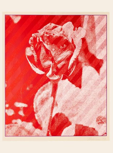 Constantine Persiani, The Rose, Original Print Screen, 1973 for sale at ...