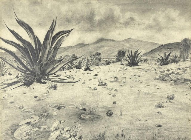Unknown - Landscape with Agave - Original Drawing by Robert Block ...