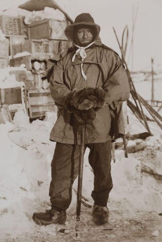 Edgar Evans (1910-13), 2020 bei Pamono kaufen