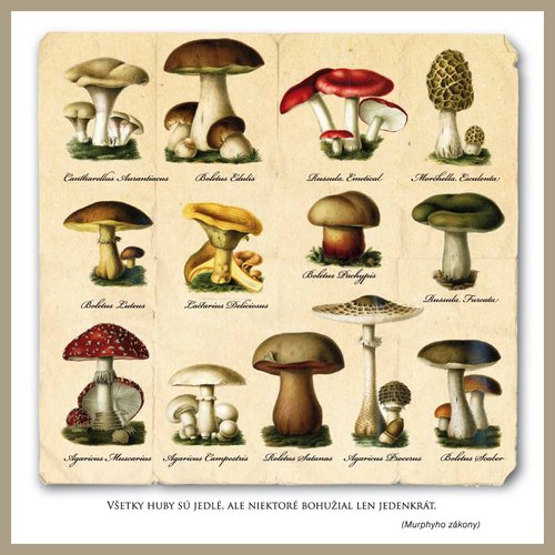 Pilze sind essbar aber einige von ihnen nur einmal drucken bei Pamono ...