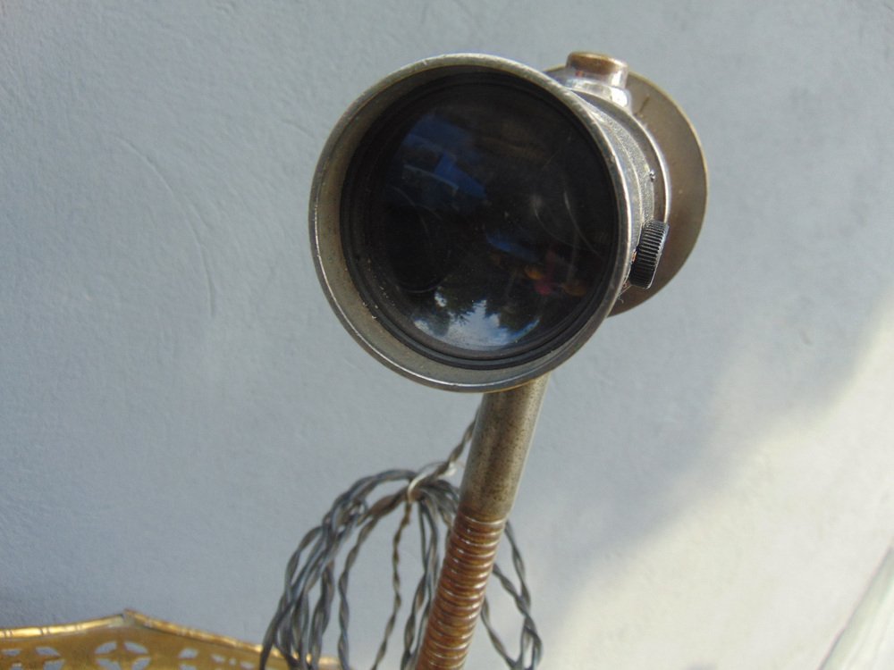 Art Nouveau Lamp for a Watchmaker and a Goldsmith from Carl Zeiss for ...