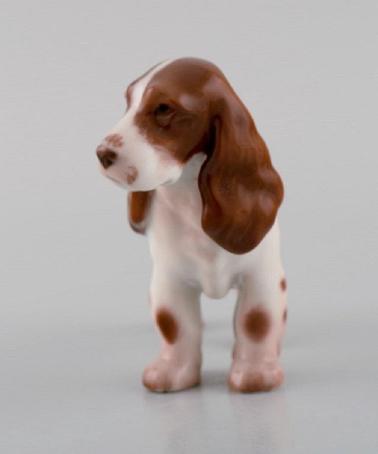Figurine Cocker Spaniel Modèle Numéro 2172 en Porcelaine de Bing ...