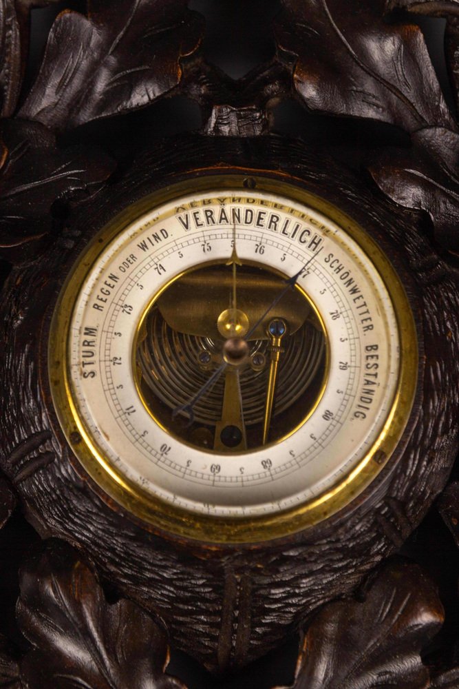 German Black Forest Barometer with Hand Carved Oak Leaves and Acorns ...