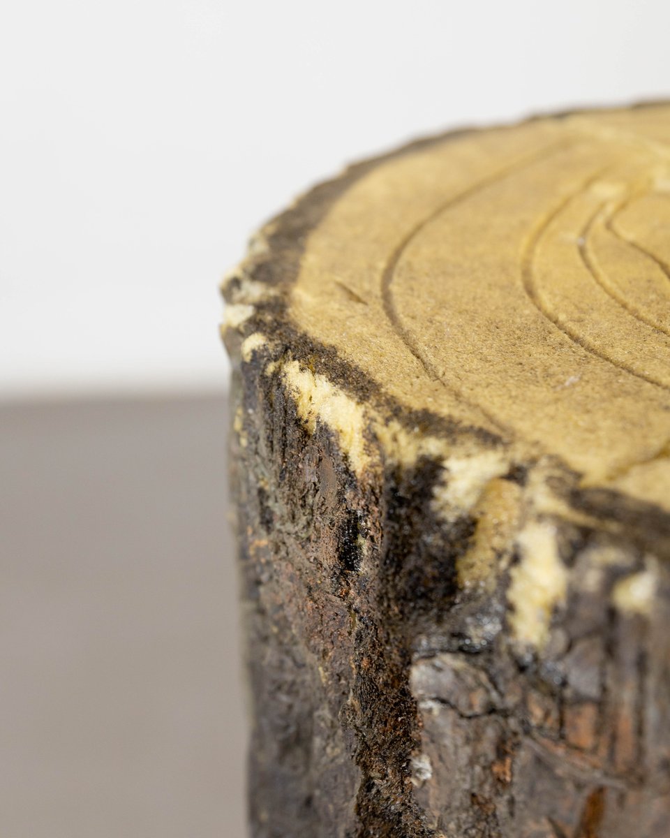 Polyurethane Foam Tree Trunk by Piero Gilardi for sale at Pamono