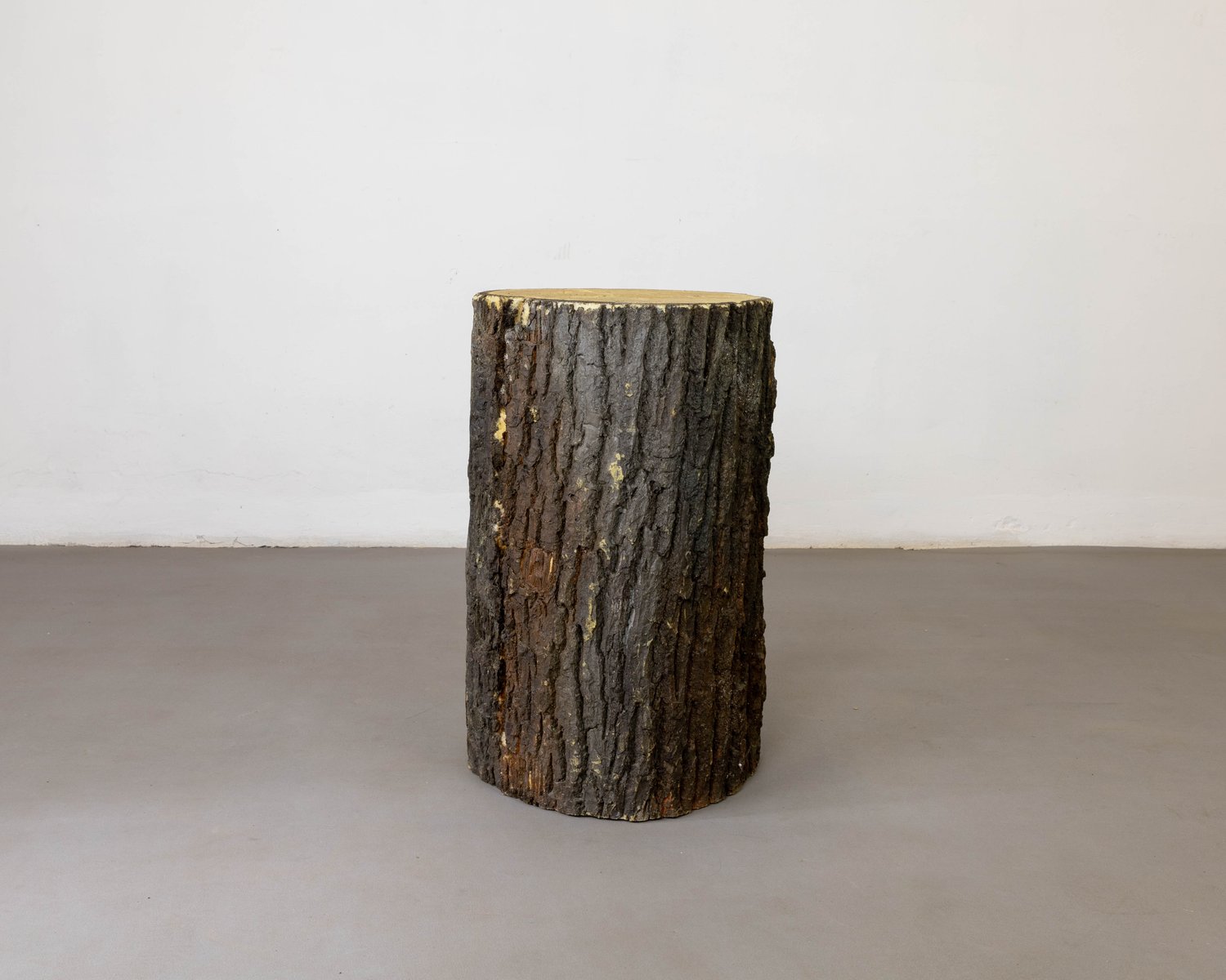 Polyurethane Foam Tree Trunk by Piero Gilardi for sale at Pamono