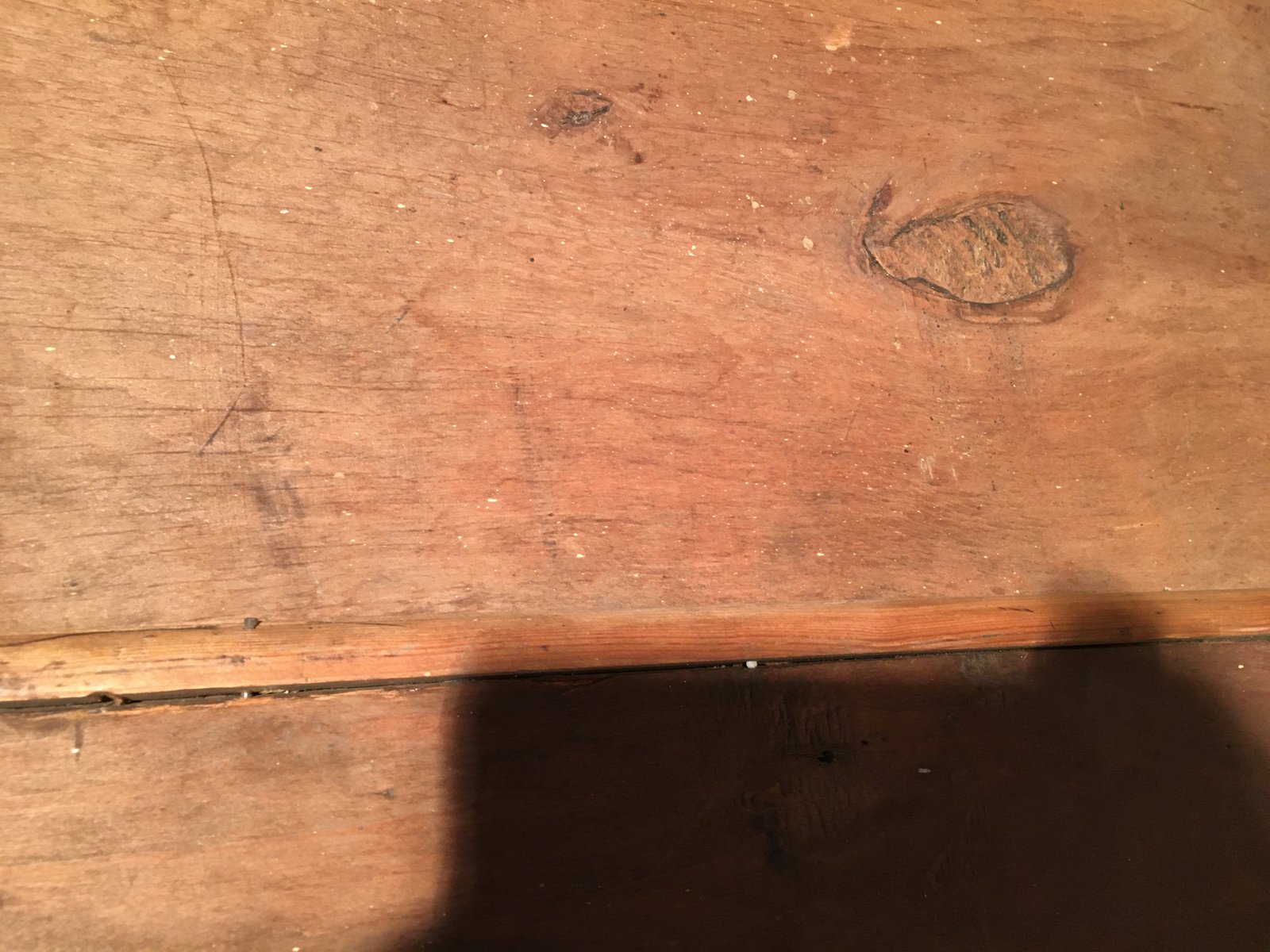 Friar, 1931, Oil on Board, Framed for sale at Pamono