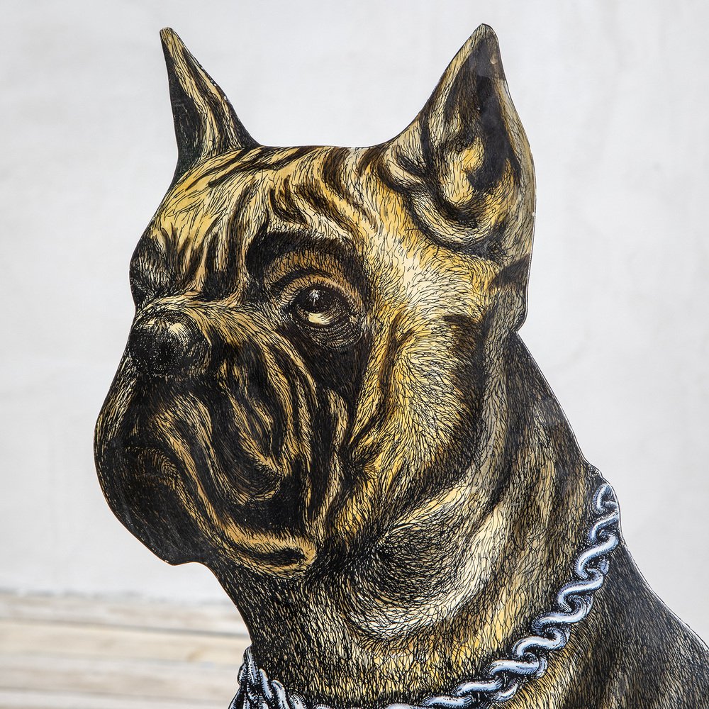 Piero Dog Dombrella Ständer aus Serrigrafate Metall von Atelier ...