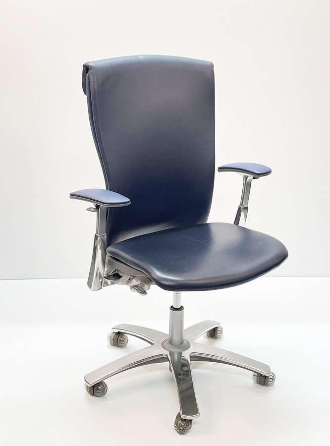 Aluminium and Italian Blue Leather Life Office Chair by Formway Design ...