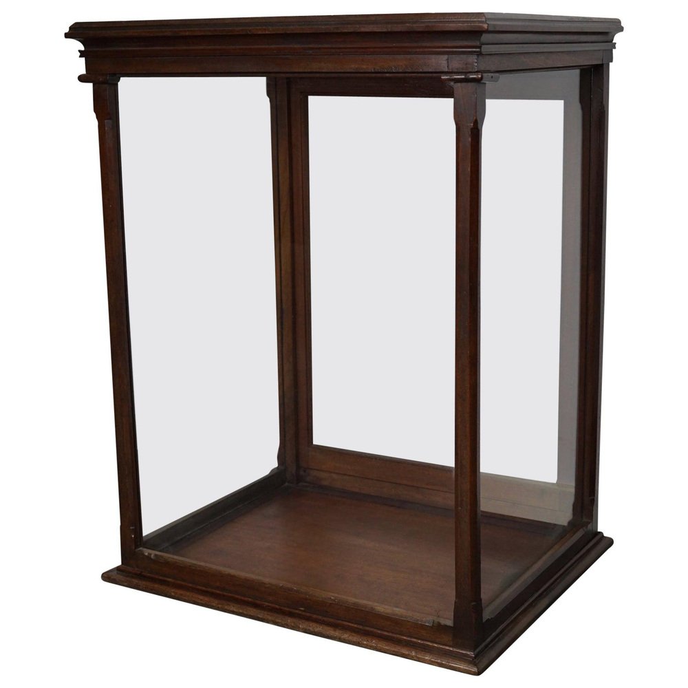 Victorian Mahogany Museum Display Cabinet for sale at Pamono
