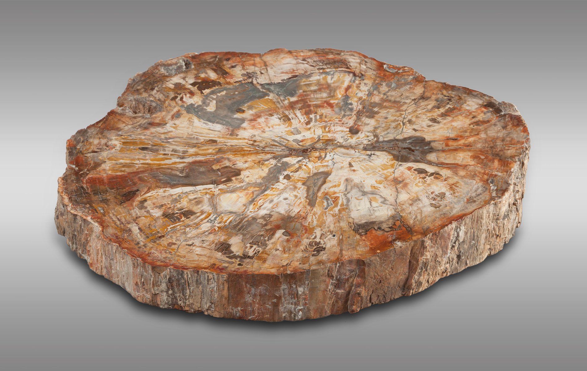 Antique Cocktail Table with Fossil Top on Steel Base for sale at Pamono