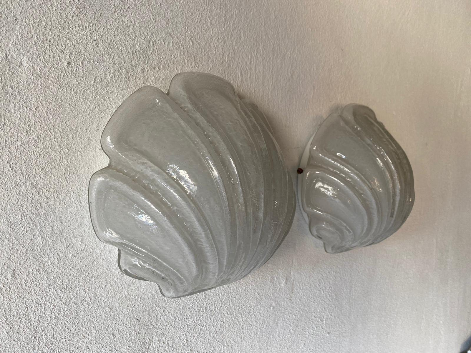 Glass Shell Shaped 3087 Sconces from Limburg, Germany, 1980s for sale ...