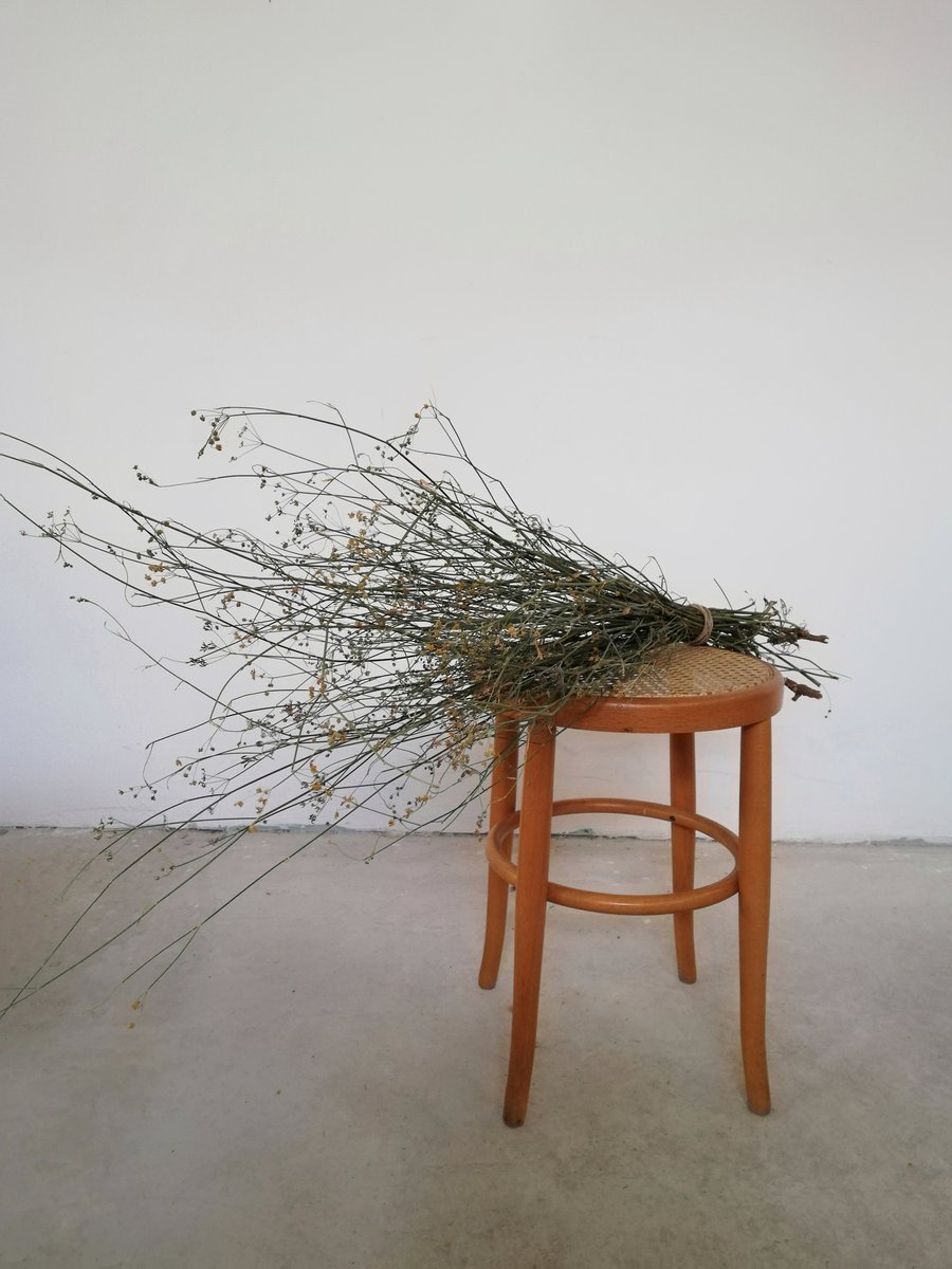 Wiener Hocker aus Holz & Stroh bei Pamono kaufen