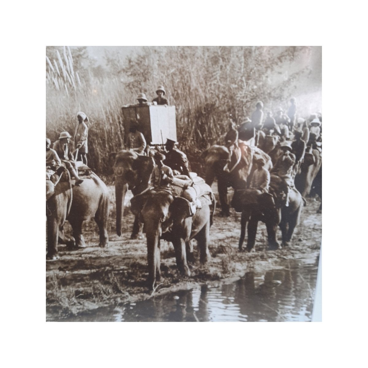 Hunting with Elephants, Photograph for sale at Pamono