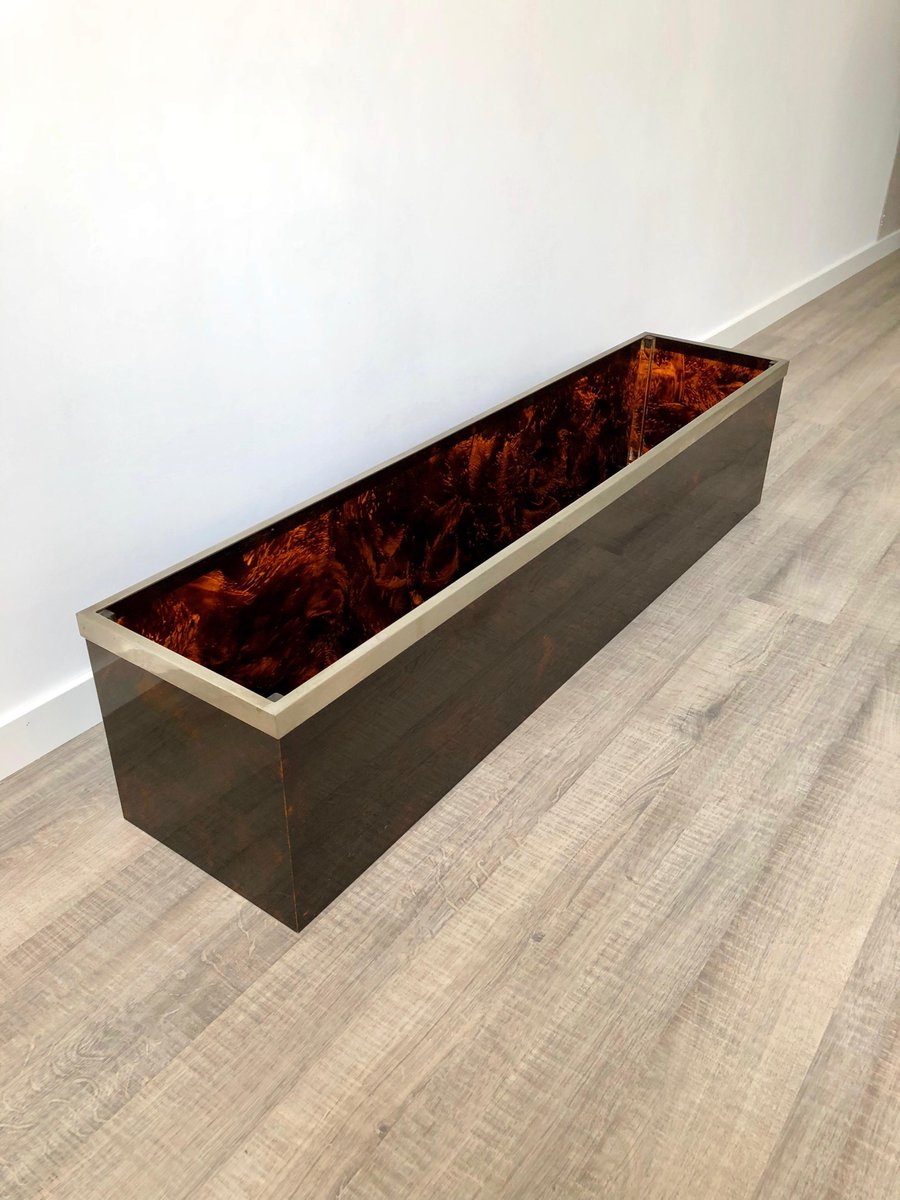 Large Mid-Century Modern Tortoise Acrylic & Chrome Flower Vase, Italy ...