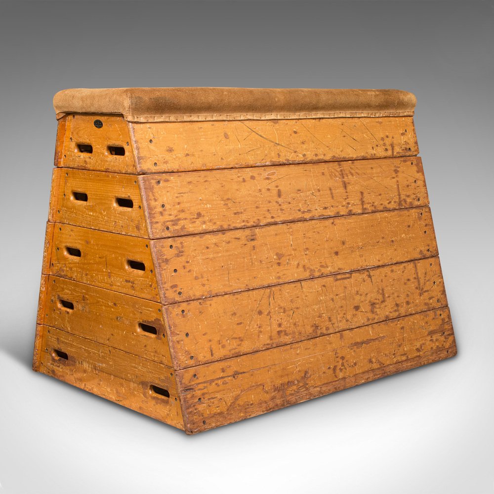 Vintage English Box Vault in Suede Leather & Beech, 1960s for sale at ...