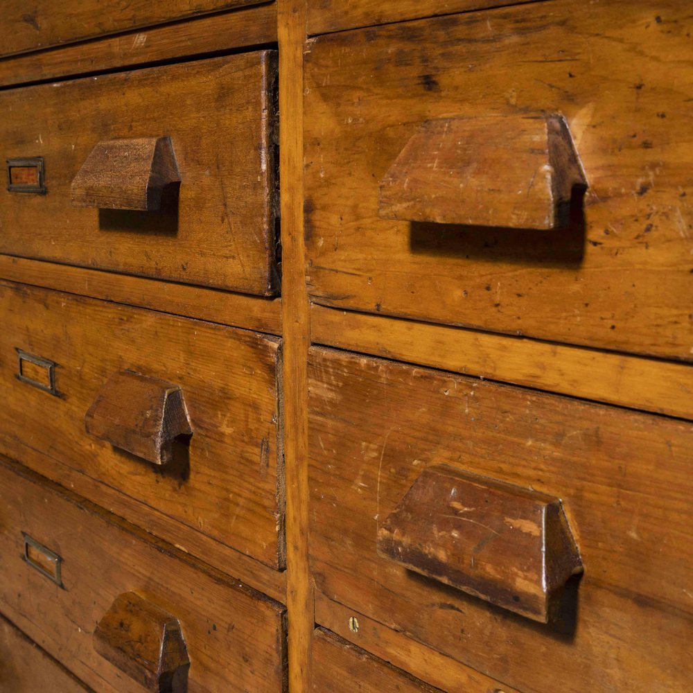 Very Large Collector's Chest of 14 Drawers, 1950s for sale at Pamono