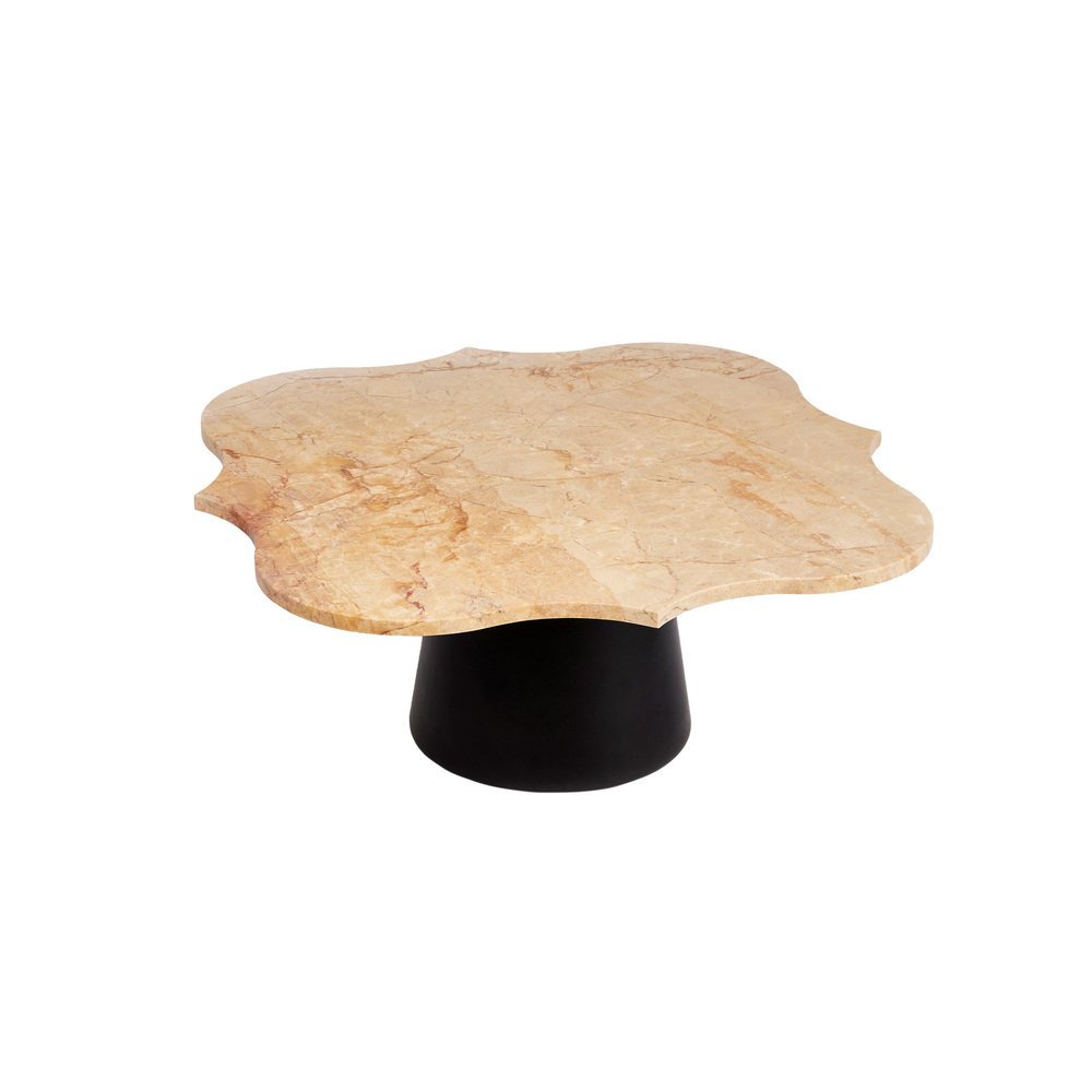 Marble Boromeo Coffee Table by Salvatore Spataro for sale at Pamono