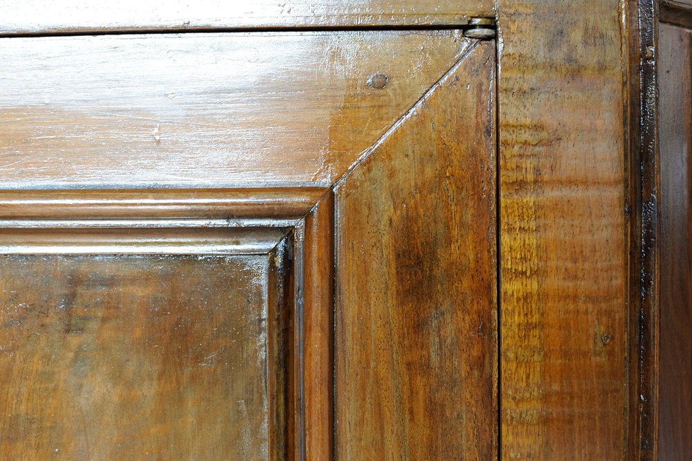 Solid Walnut Corner Cabinet for sale at Pamono