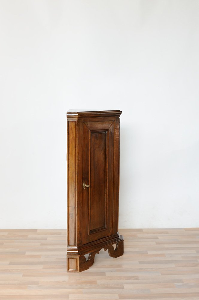 Solid Walnut Corner Cabinet for sale at Pamono