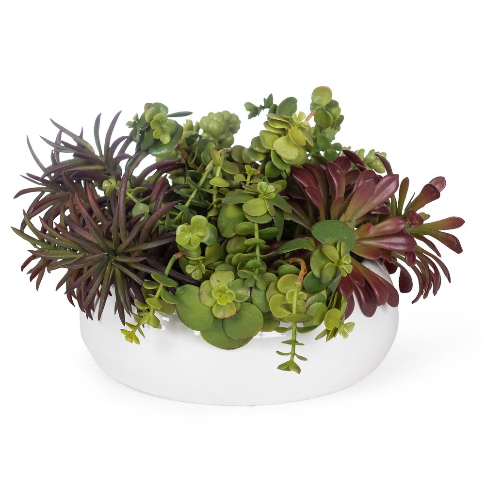 Italian Fat Plant Mix Set Arrangement Composition from VGnewtrend for ...