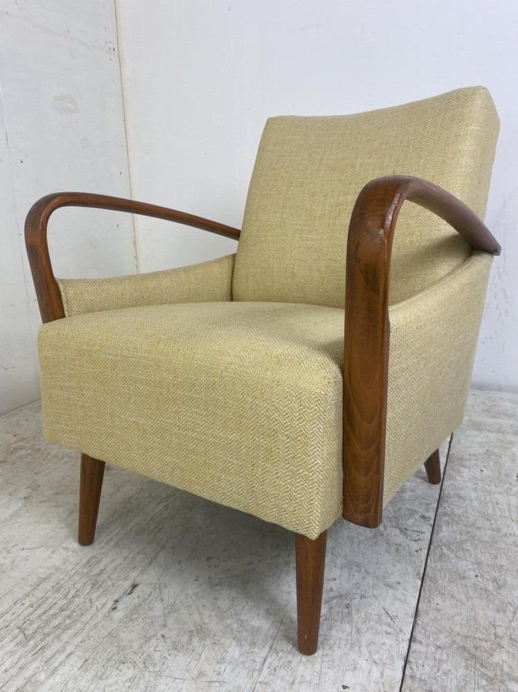 Vintage Mid-Century Modern Easy Chair, 1950s for sale at Pamono