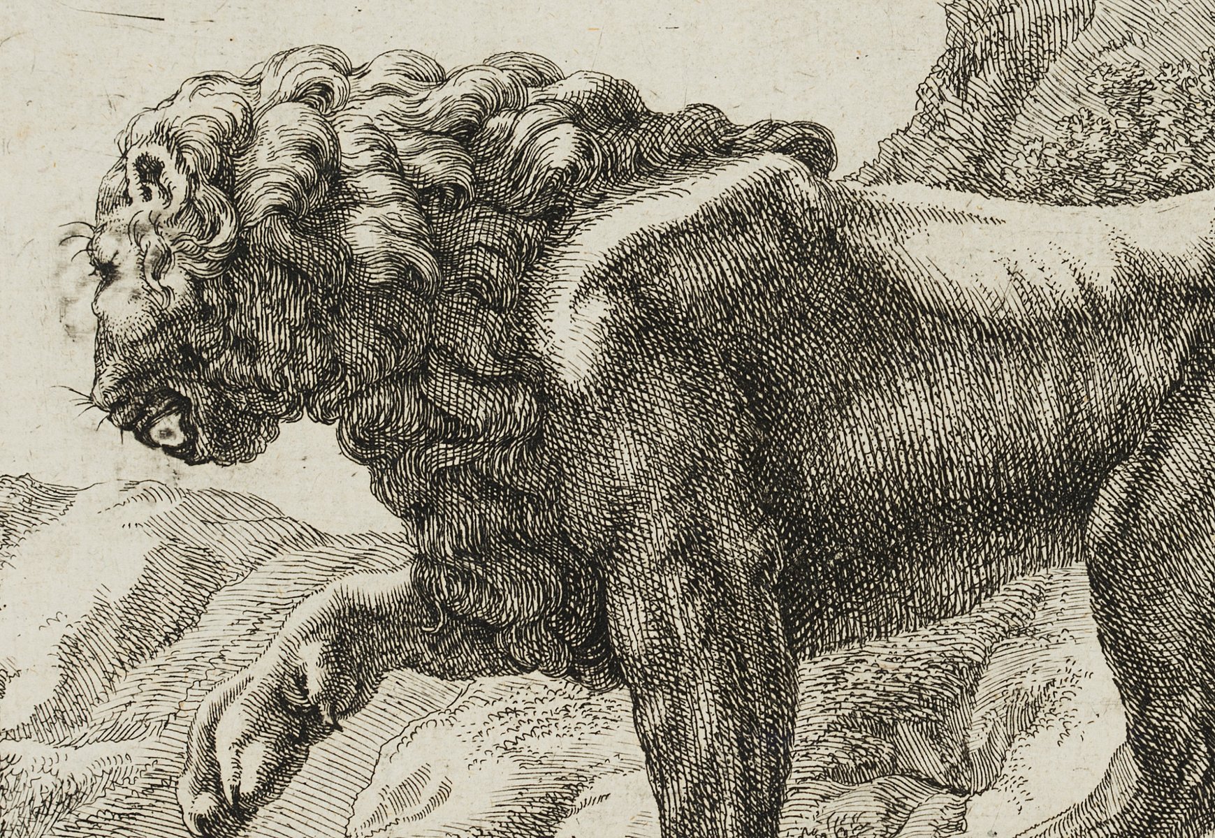 J. Meyer, Pacing Lion, 17th-Century, Etching for sale at Pamono