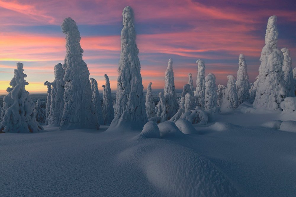 Roberto Moiola / Sysaworld, Sunset Over Frozen Trees of Snowy Forest ...