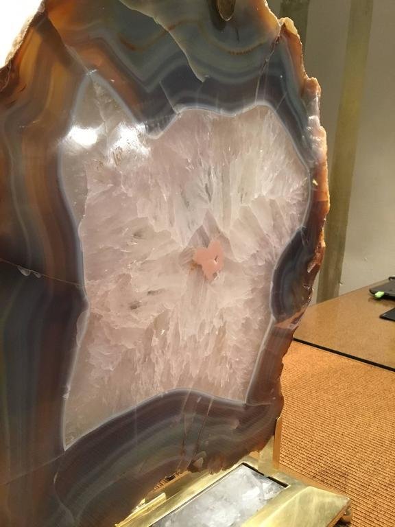 Italian Illuminating Fossil Table Lamp, 2000s for sale at Pamono