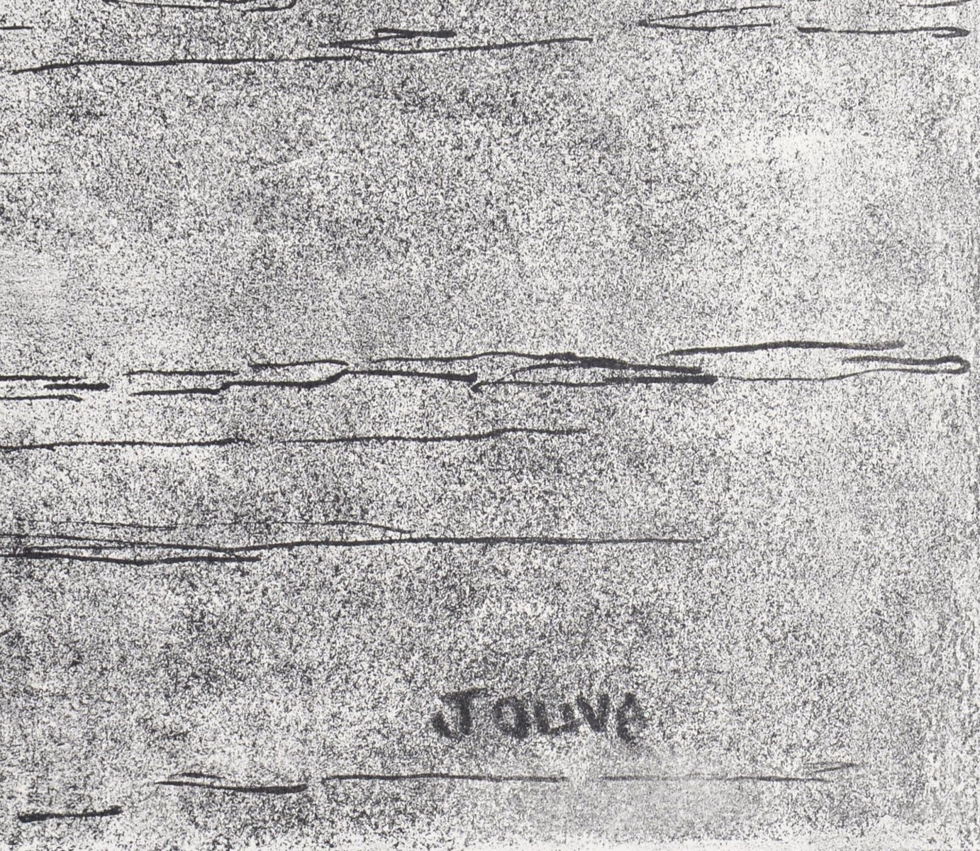 Paul Jouve, Panther gefangen, 1934, Original Lithographie auf BFK Rives ...