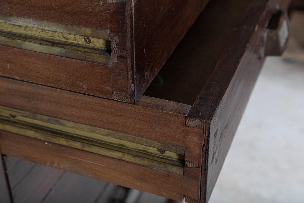 19th Century English Specimen Display Cabinet for sale at Pamono