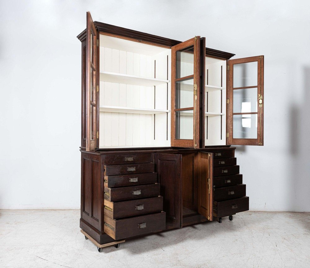 19th Century English Specimen Display Cabinet for sale at Pamono