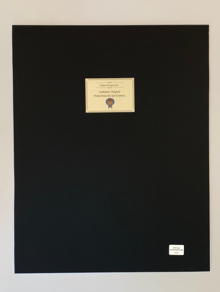 Herb Ritts, Elizabeth Taylor, 1996, Silbergelatine Druck bei Pamono kaufen