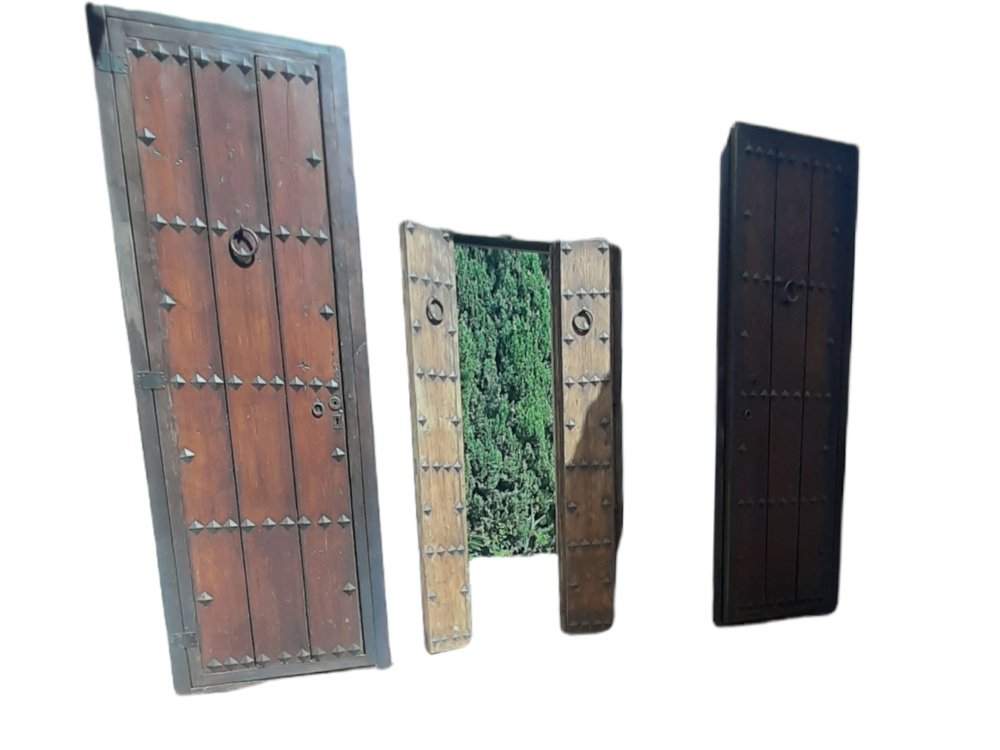 Antique Spanish Doors in Wood, Set of 2 for sale at Pamono