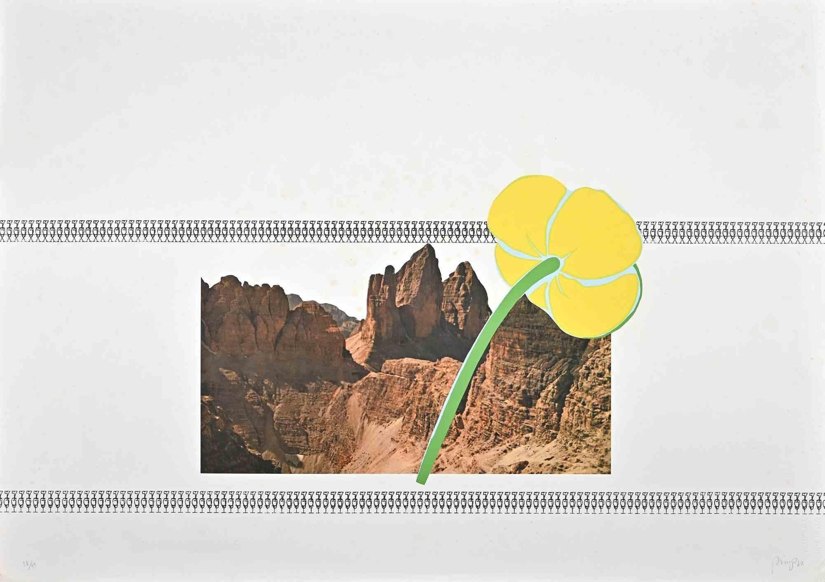 Tomaso Binga, Flower, Original Lithographie, 2000er bei Pamono kaufen