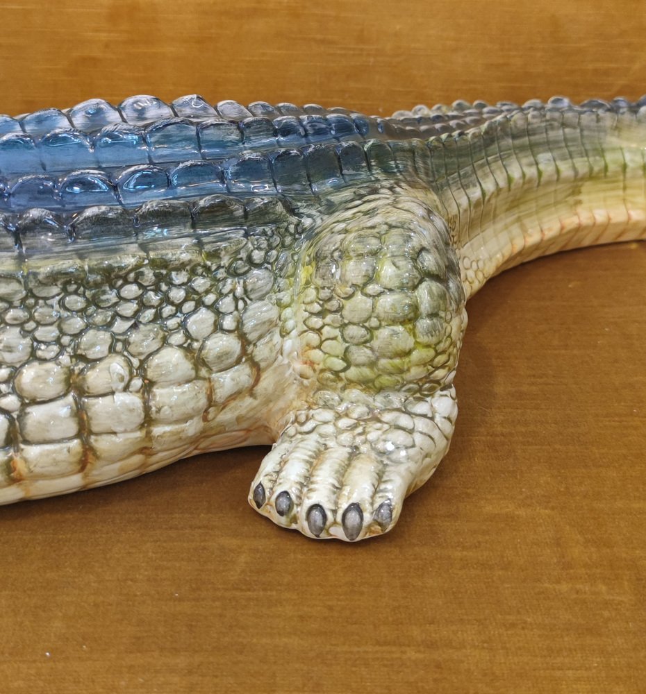 Crocodile Ceramic Sculpture, Italy, 1960s for sale at Pamono